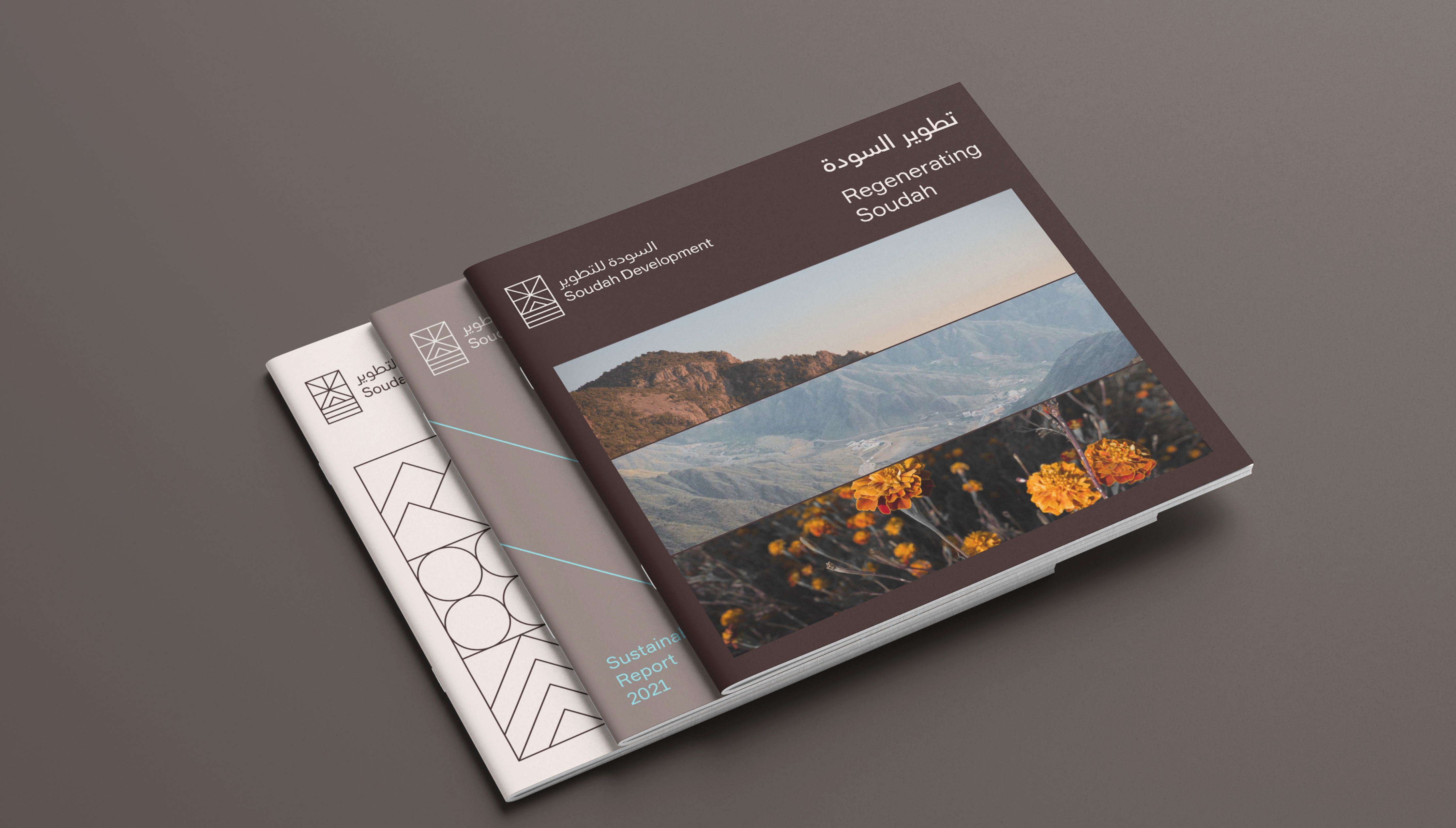 A journey of regeneration - Saffron Brand Consultants
